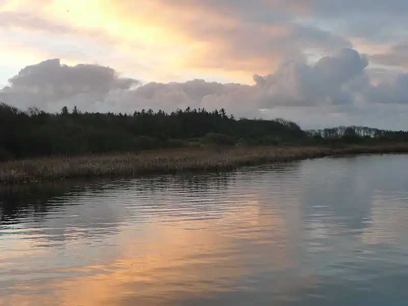 Local Area | Presaddfed Hall